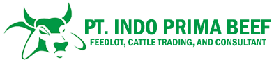 Informasi – PT INDO PRIMA BEEF