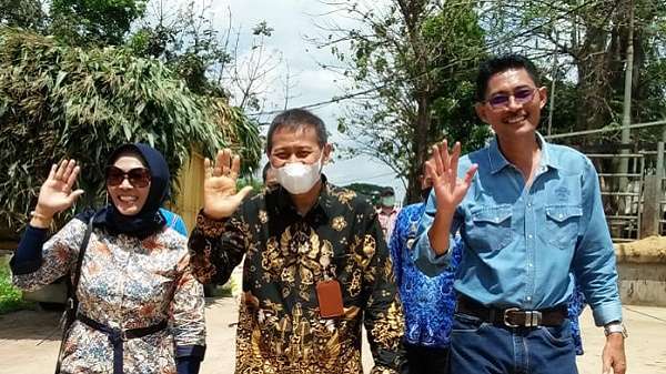 PT INDO PRIMA BEEF – Feedlot, Cattle Trading, and Consultant